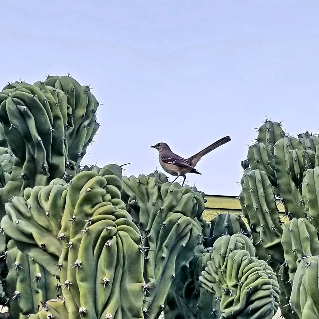 11 Southern California Zoos Worth Visiting