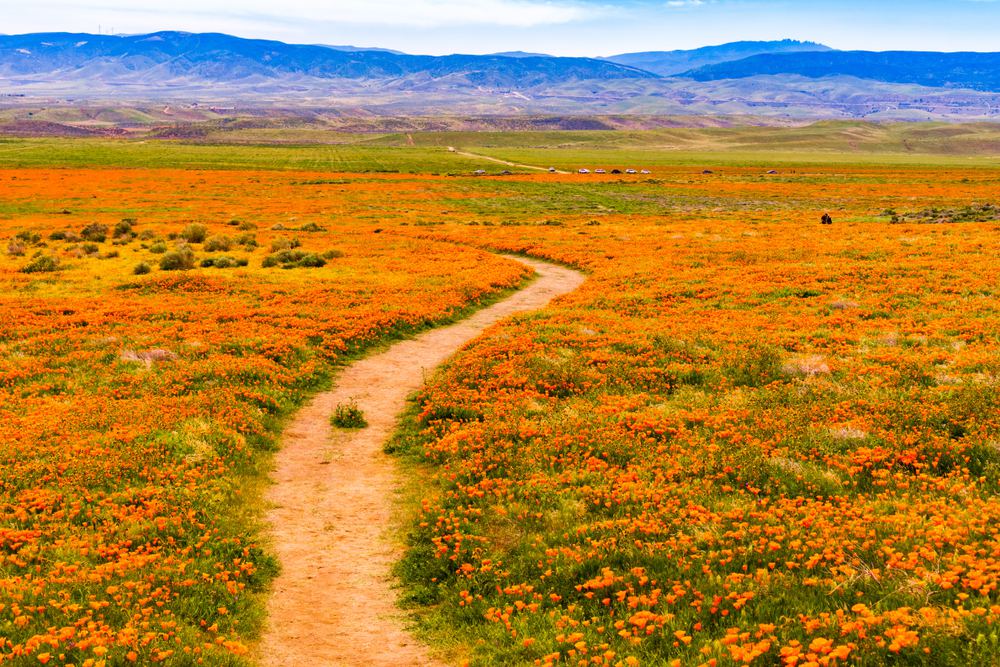 The 13 Best Hikes in Southern California to Take This Spring