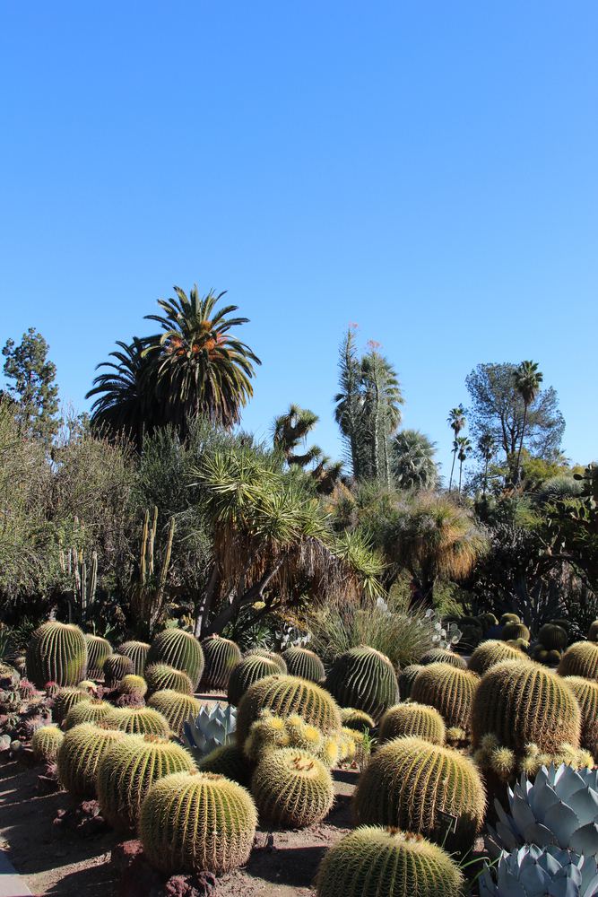 California Botanical Gardens That Are Too Beautiful To Miss