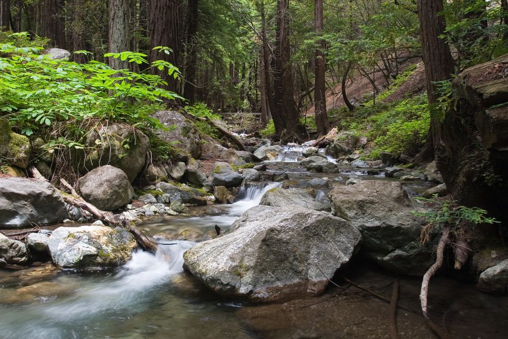 The Best Rivers in California for Every Activity