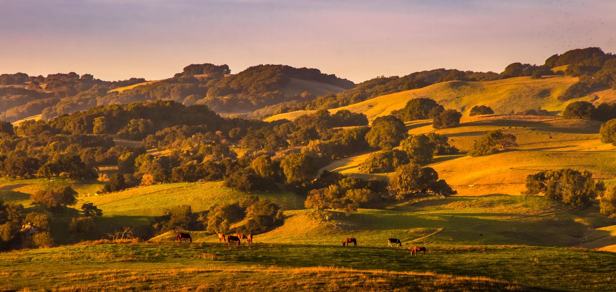 Golden Hills, California: An Undiscovered Gem of the West Coast
