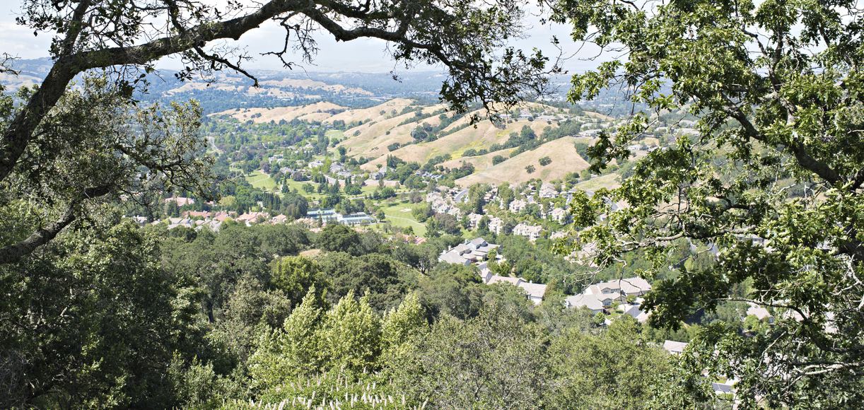 Discover Rossmoor: California’s Hidden Gem For Quality Living