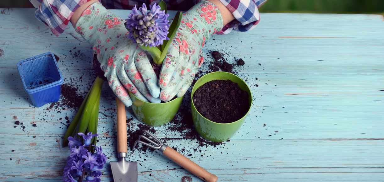 California Soils: What to Plant in Each Golden State Soil Type