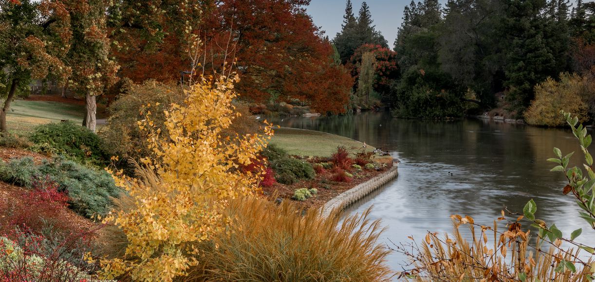 Davis, California: A Haven for Nature Lovers and Foodies