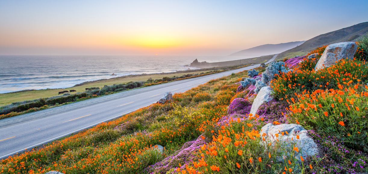 Every Stop You Need to Make When Driving in Big Sur