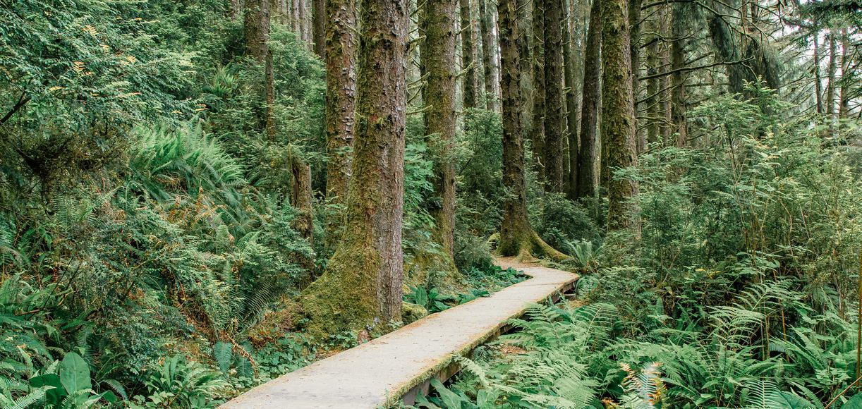 9 Off-the-Beaten-Path California Hiking Trails