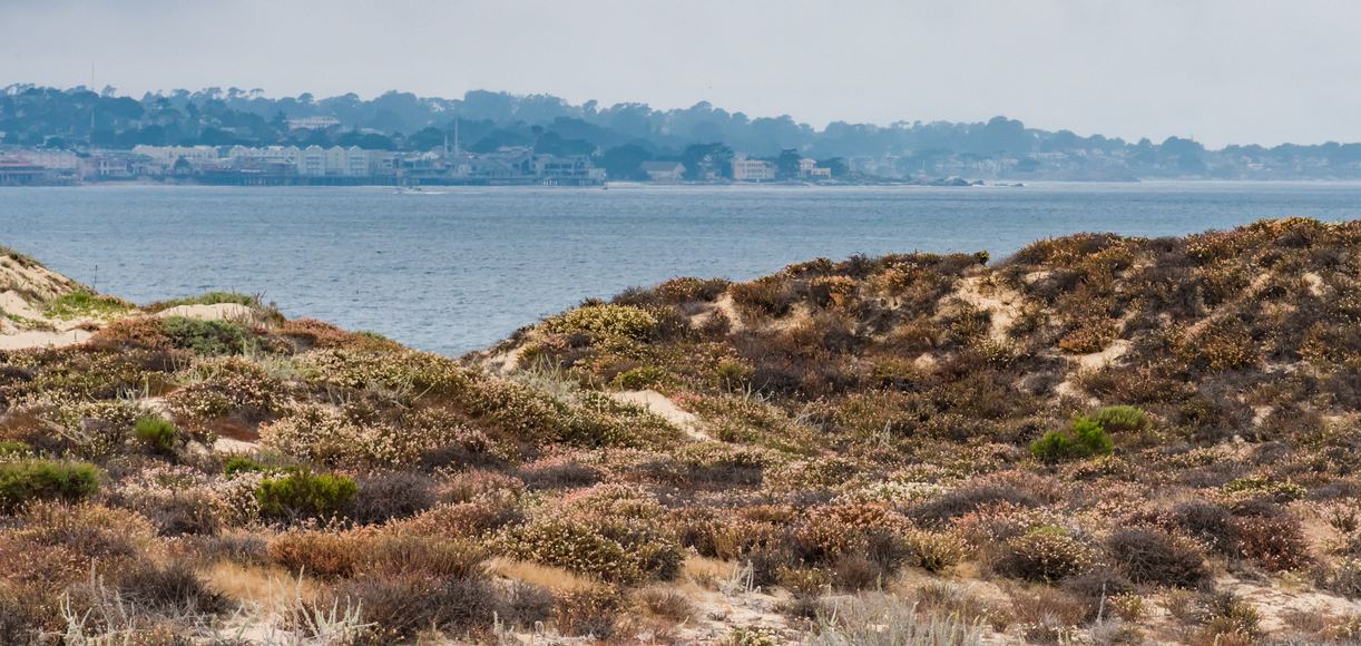 A Gem of the Golden State: Embrace the Charm of Marina, California