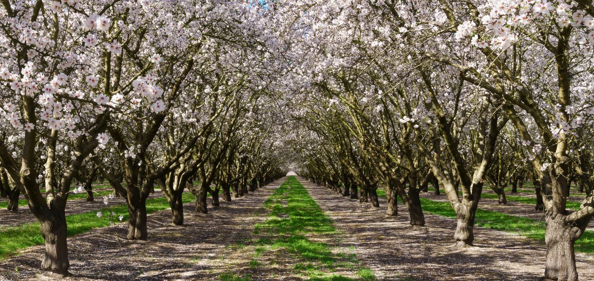 Embrace the Charm of Modesto, California: A Thriving City Full of Delights