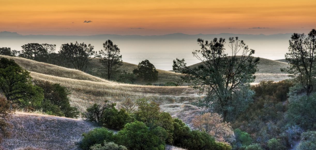 Discover the Serenity and Fun of Living in Arden-Arcade, California