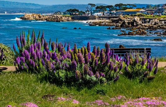The Best Central Coast Getaways In California