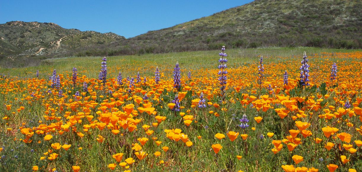 Discover the Hidden Gem of Wildomar, California: A Haven of Outdoor ...