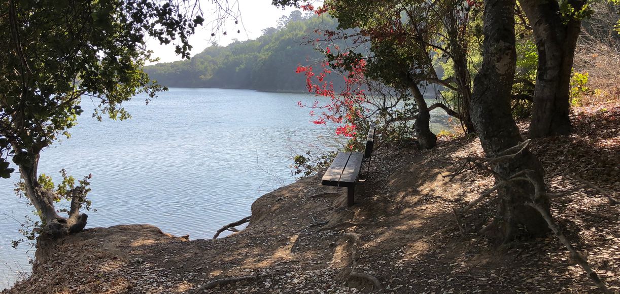 Discover the Hidden Gems of Castro Valley, California