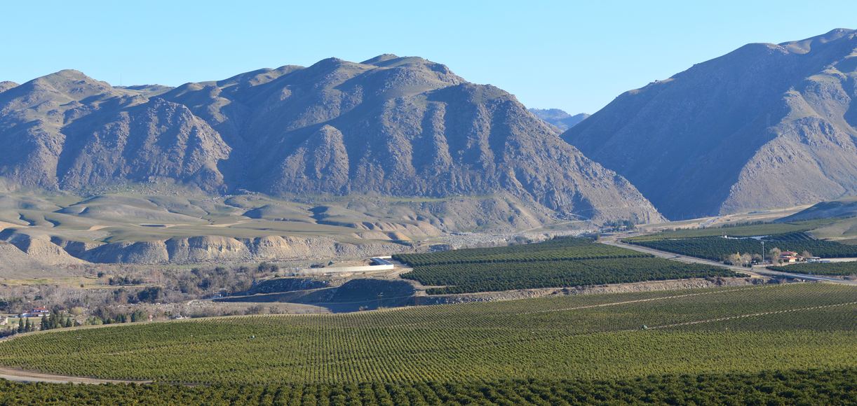 The Most Important Agricultural Areas in California