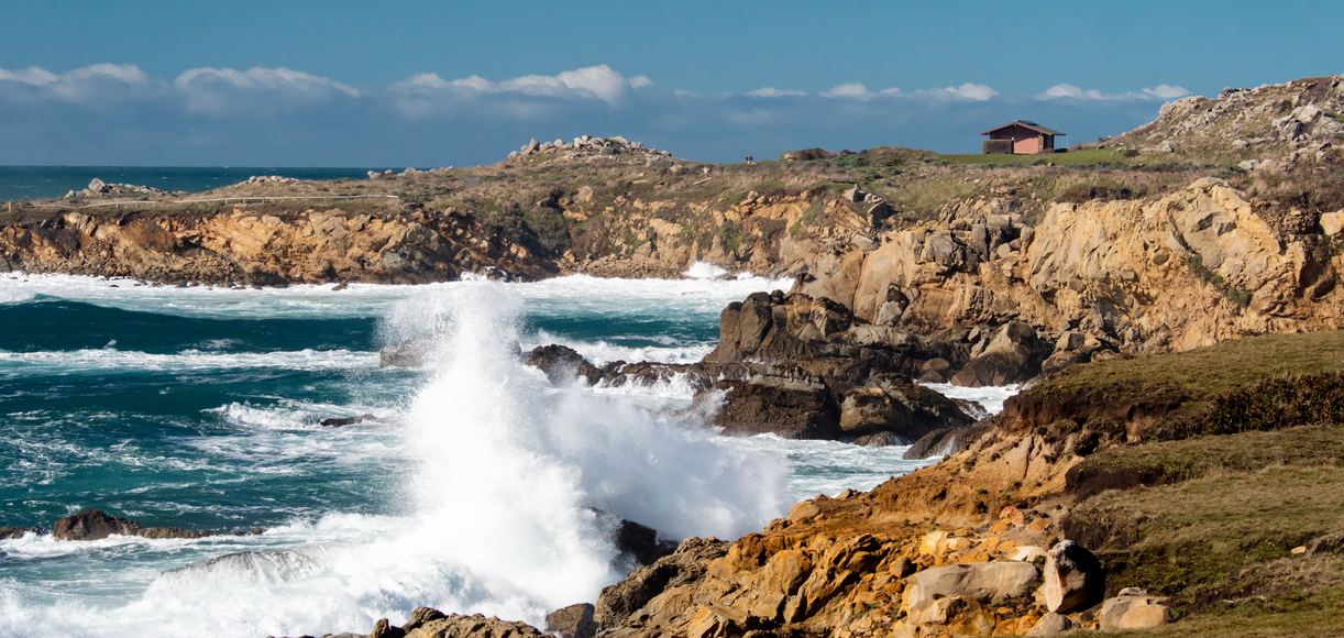 The Top 5 Things To Do At Salt Point State Park