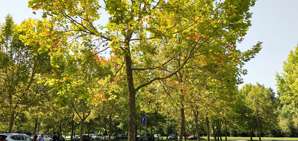 Discover the Hidden Gems of Rohnert Park, California: A Guide to Life ...