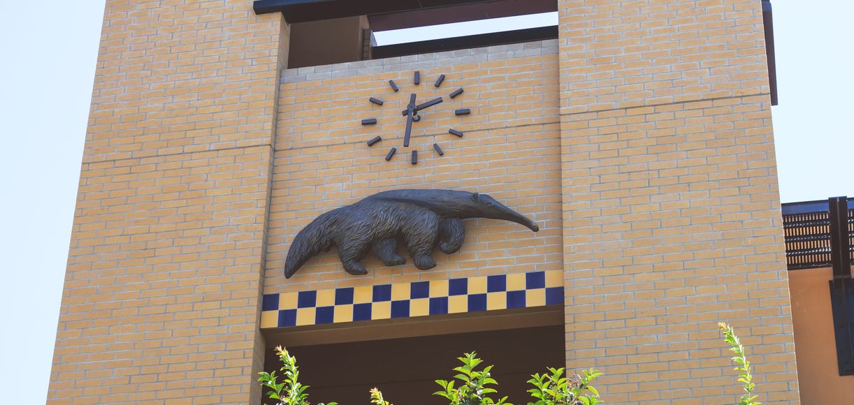 Here Are the Top 5 Colleges Near Seal Beach