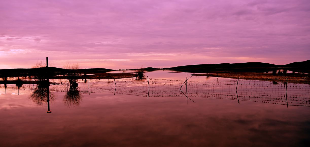 Embrace the Golden Charm: The Untold Perks of Living in Delhi, California