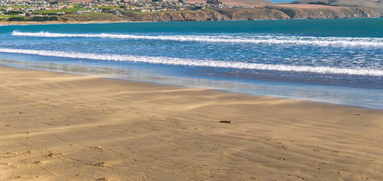 Unearthing Coastal Gems: Discover the Top Beaches Near Petaluma, California