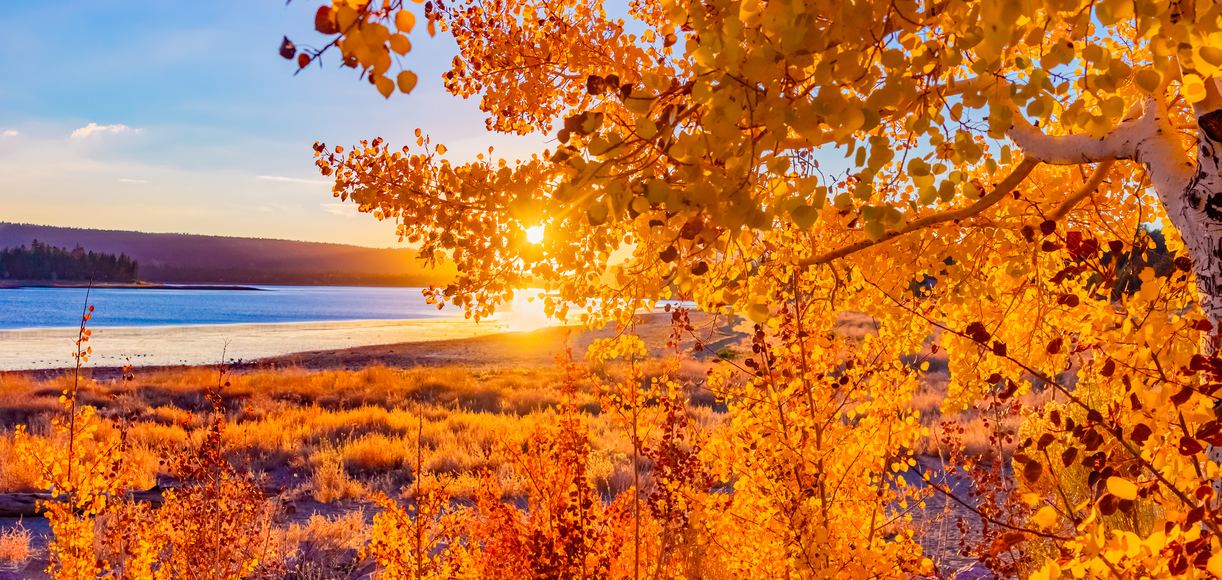 Where to See Fall Colors in Southern California