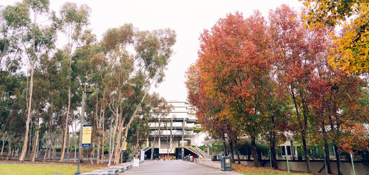 The Top 5 Colleges Near Solana Beach, California