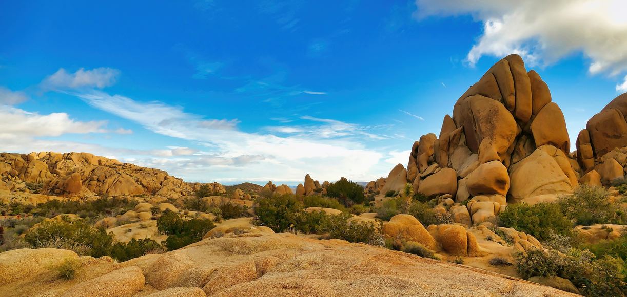 The Mojave Desert: What is it? Why Is It Great?