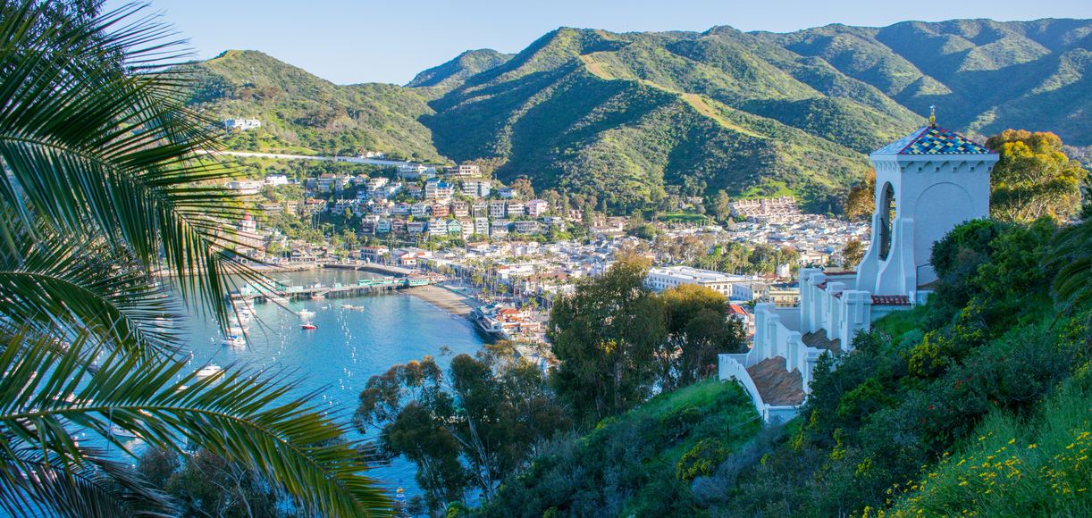 The Top 5 Things to Do on Catalina Island