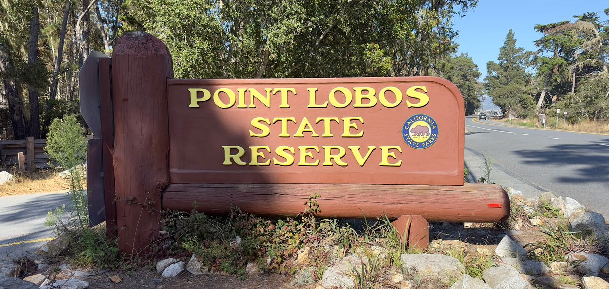 The Top 5 Point Lobos Hikes To Go On Soon