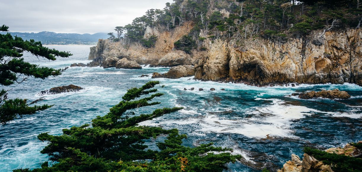 Everything to Know About Visiting Point Lobos State Natural Reserve