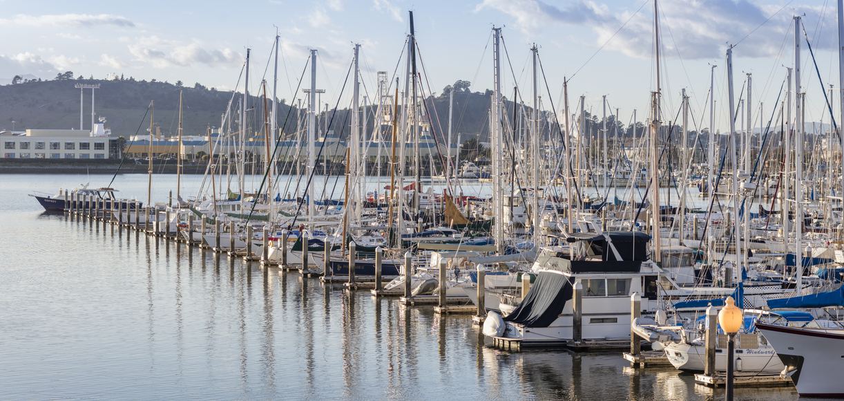 Discovering the Best Beaches Near Berkeley, California