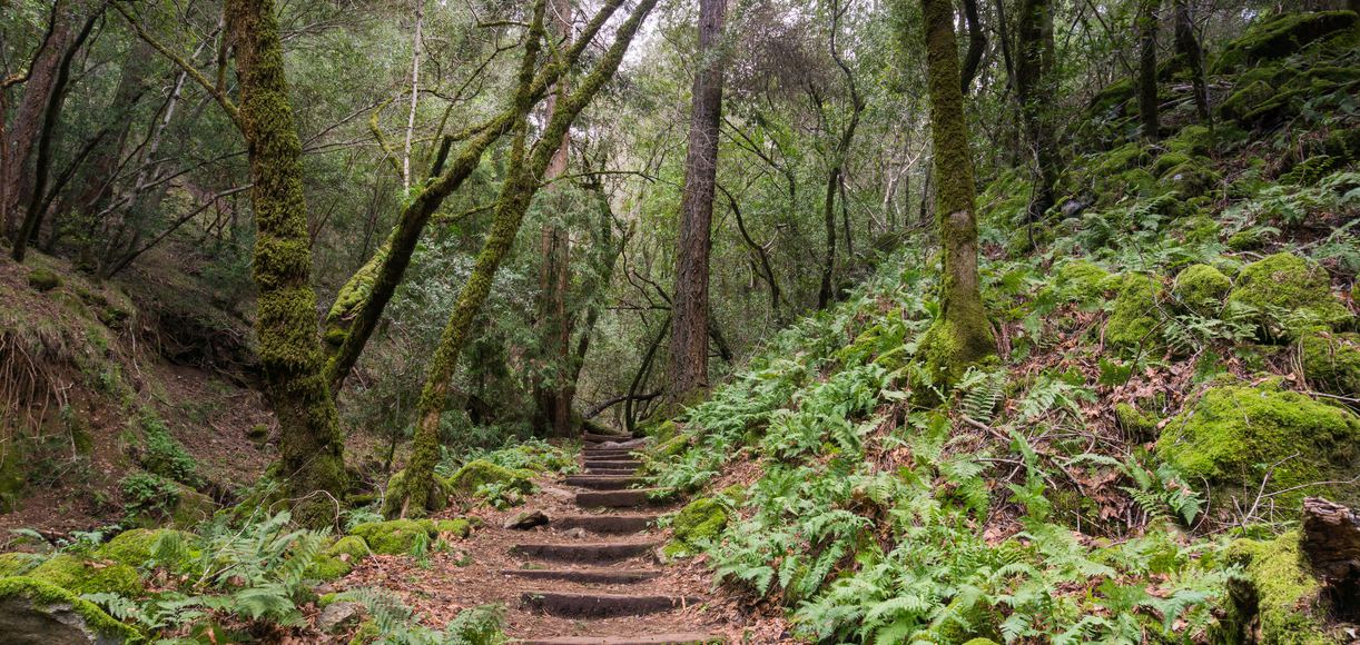 Sugarloaf Ridge State Park: An Ode to California's Wild Wonders