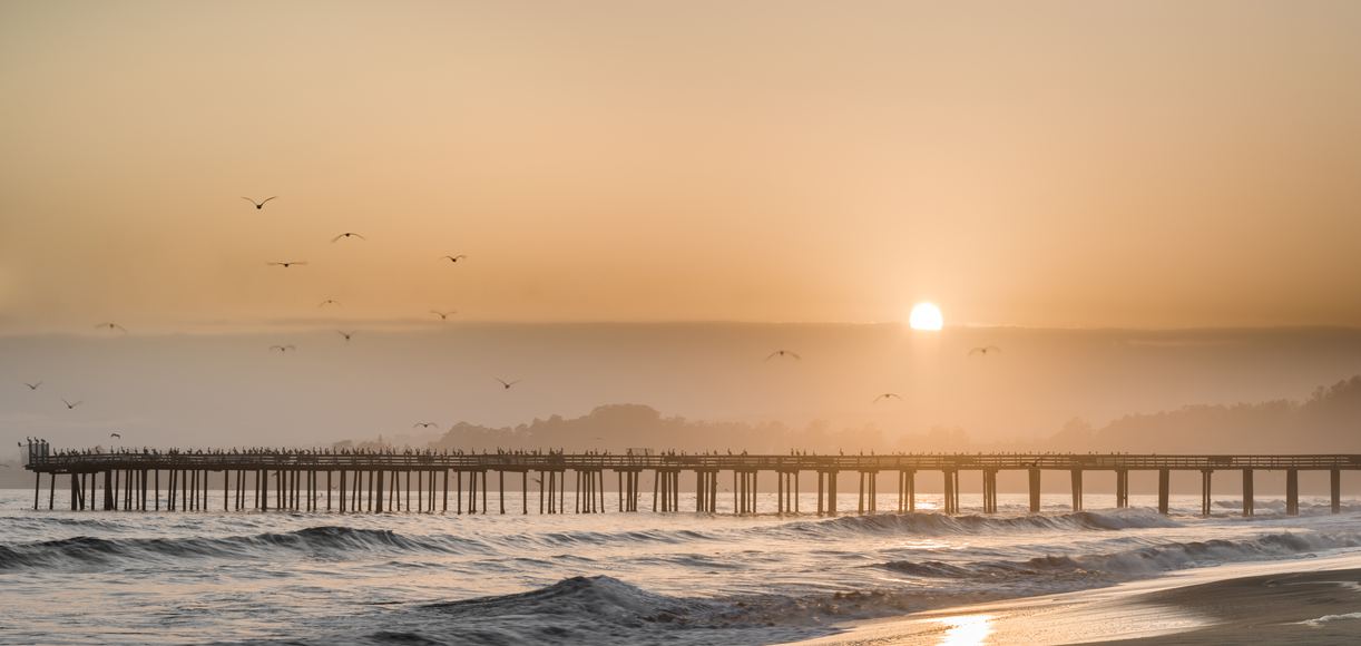Savor the Sand: The Top 5 Scenic Beaches Near Capitola, California