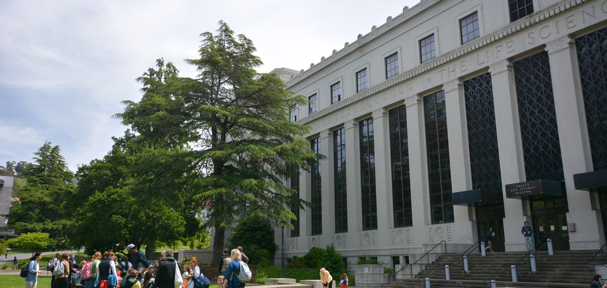 The Top 5 Colleges Near Bay Point, California