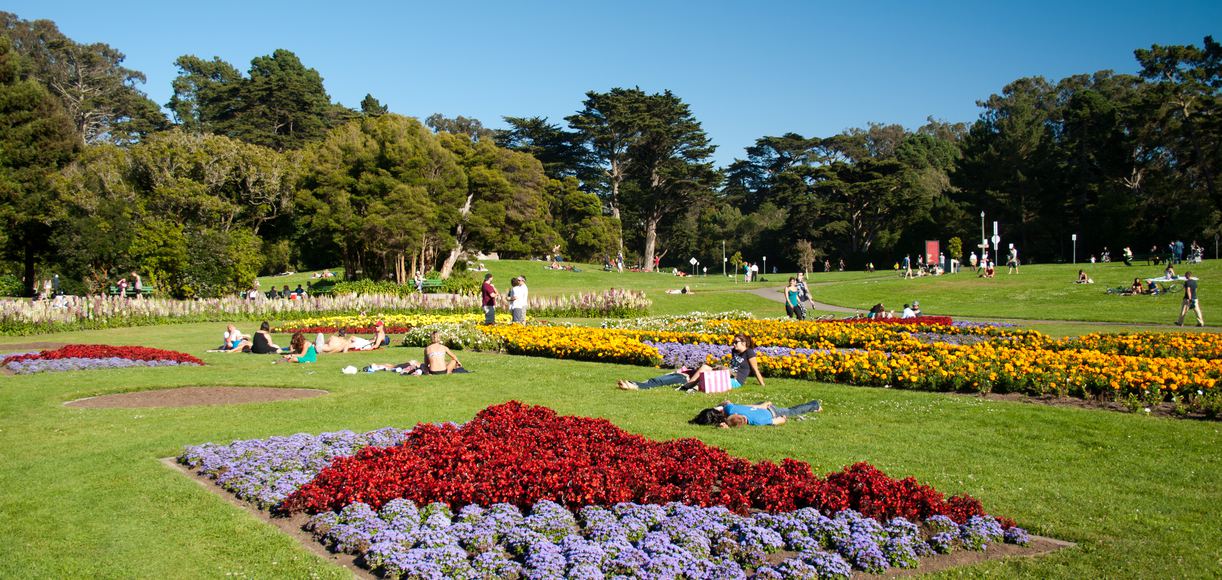 7 Fun Facts About Golden Gate Park