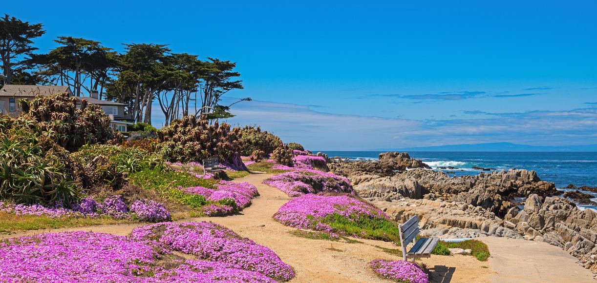 The Best Hikes in Monterey to Trek Year-Round