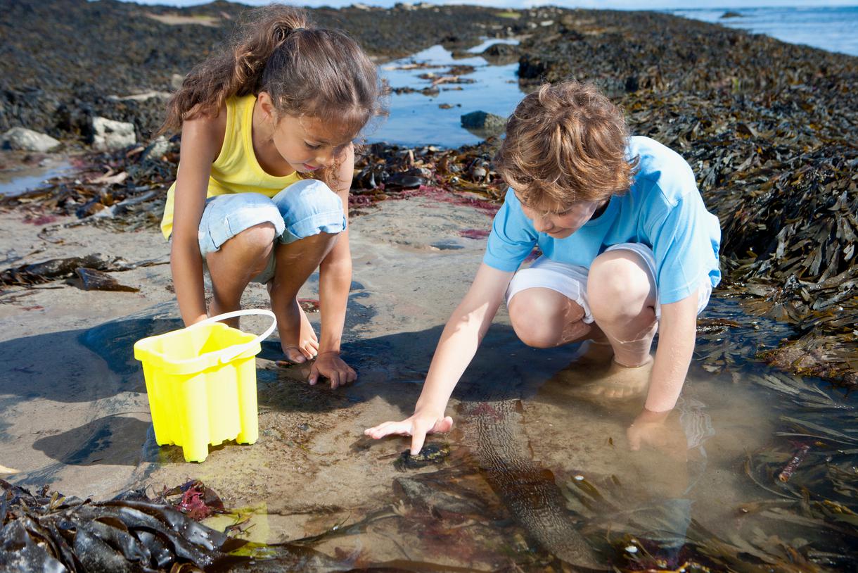 15 Bay Area Attractions You Need To See Now 15 Bay Area Attractions You Need To See Now