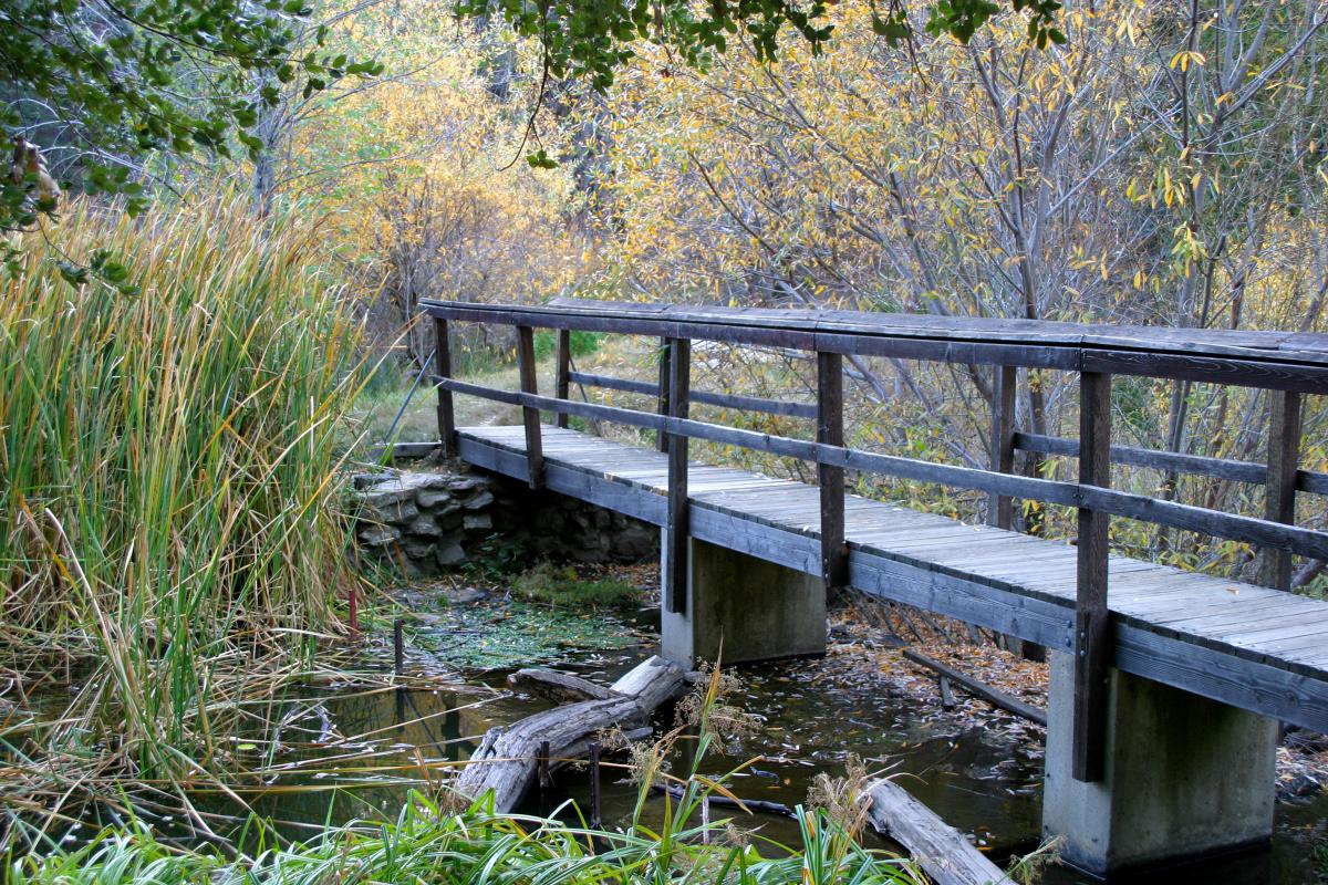 Where to See Stunning Fall Foliage in Southern California