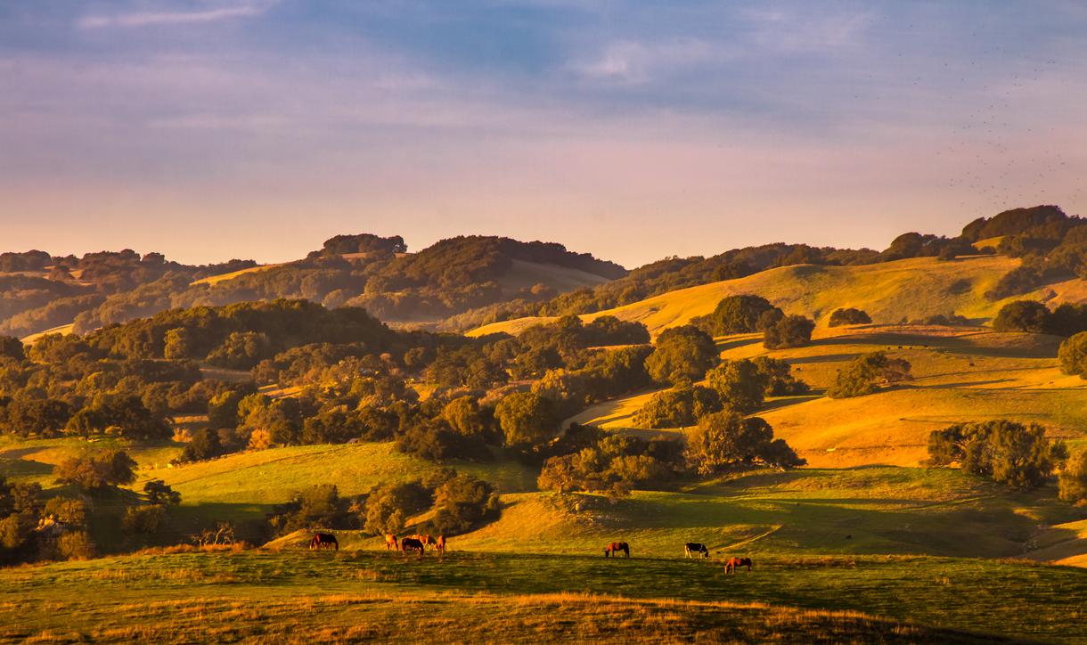 The Most Beautiful Hilly Areas in California