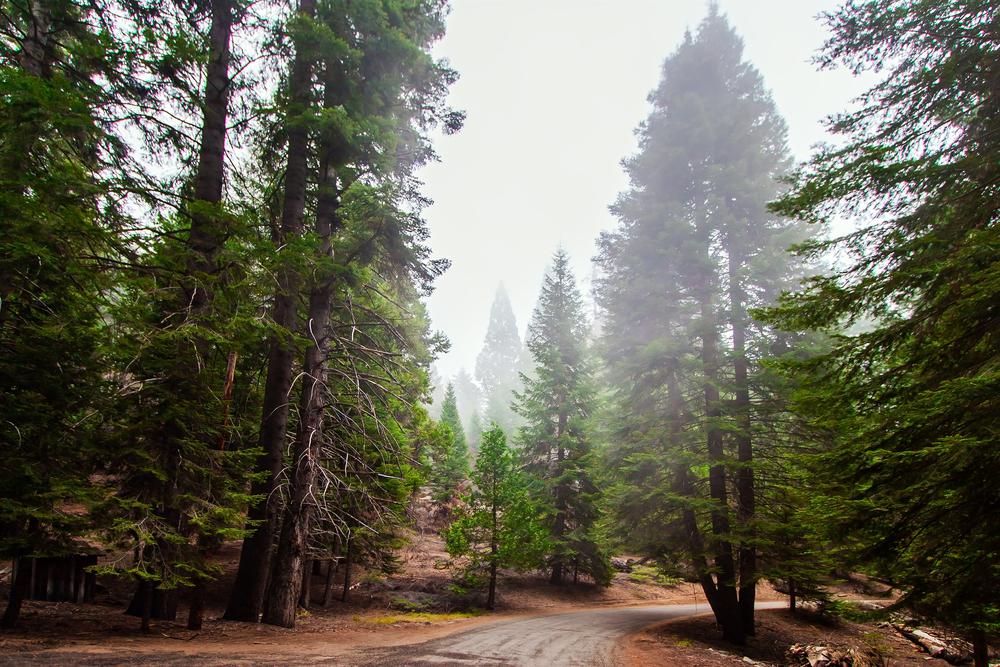 A Guide to U.S. Mountain Ranges