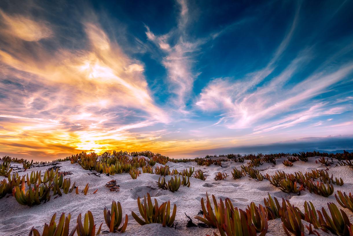 The Coolest Sand Dunes in California