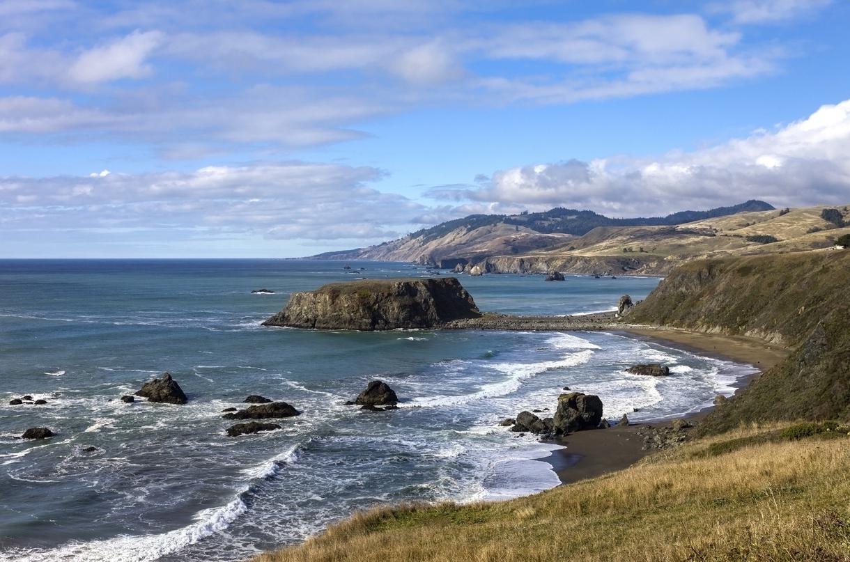 The Ultimate Guide to Sonoma Coast State Park