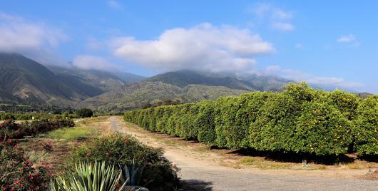 Coastal Escapes: Uncover the Top Beaches Around Imperial Beach, California