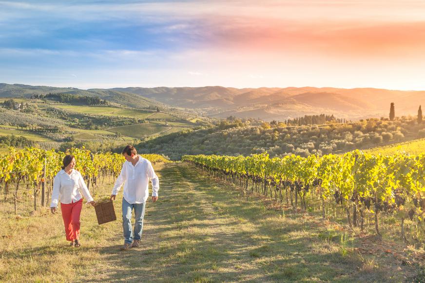 Summer Solstice in California: When Is It? Why Does it Happen?