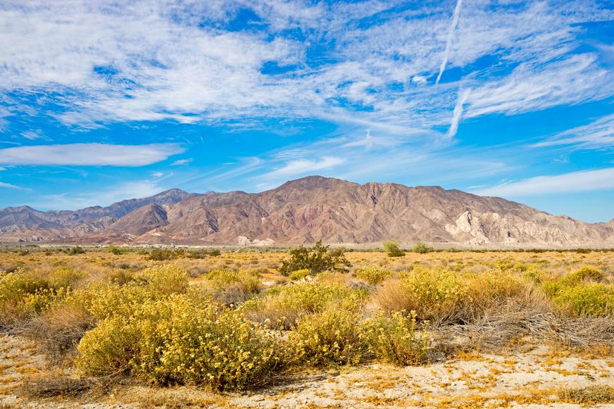 A Guide to Visiting California's Coast Ranges