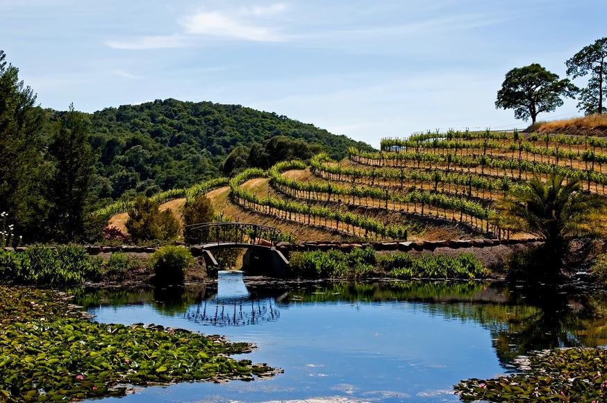 The 13 Best Hikes in Southern California to Take This Spring