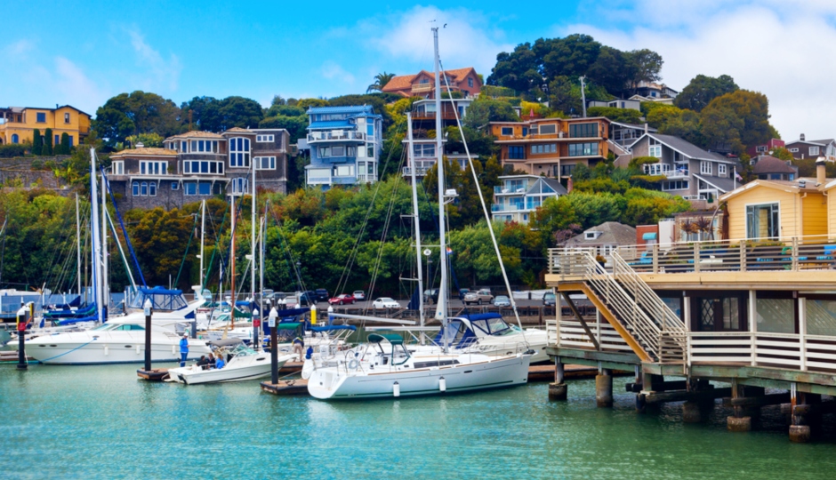 Bay Area Standout: Marin